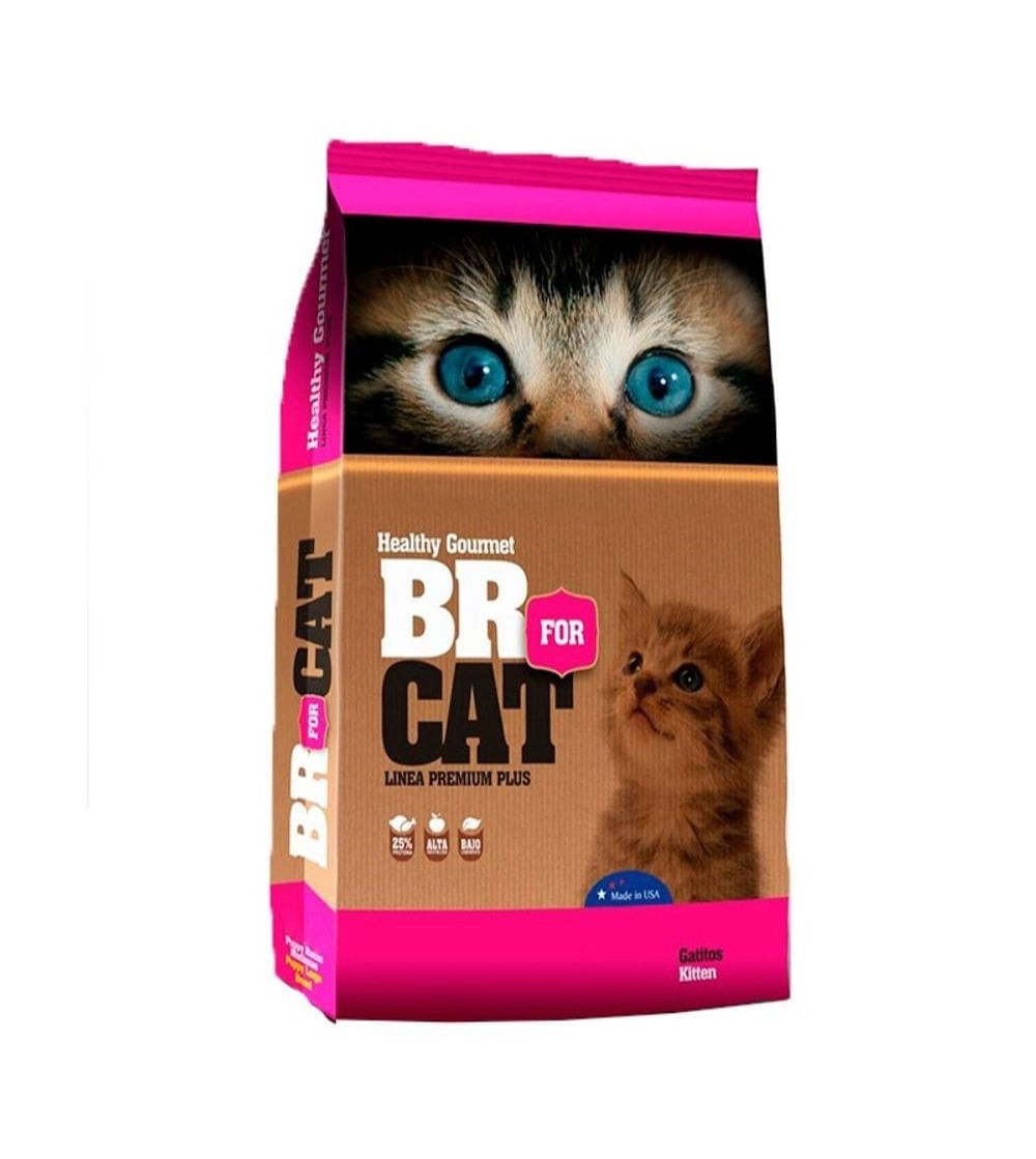BR for cat gatitos cachorros - manchas